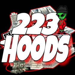 223 Development · Welcome