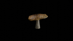 Truth Fivem Scripts · Welcome