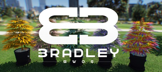 Bradley Bwo's Customs | Colorful Weed Props!