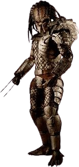 Bundercraft | Premiuns - Kits