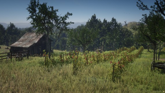 Red Life Studio | RedM Map