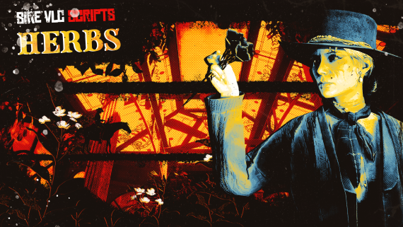 Sire VLC scripts | Packages