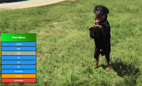 Salty Scripts | Fivem Custom Pets Script [Standalone/ESX/QB]