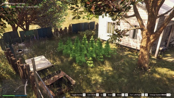 SEMPEX Mappings - FiveM | Weed Plantage