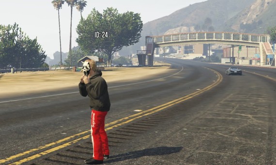 Truth Fivem Scripts · View IDs