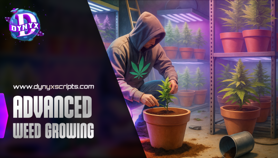 Dynyx Scripts
