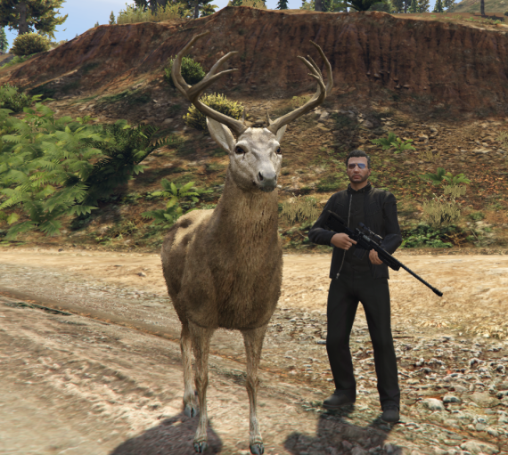 SW-Scripts | SW-Hunting