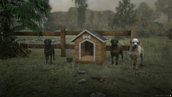NewTrailsCreations | Dog Houses