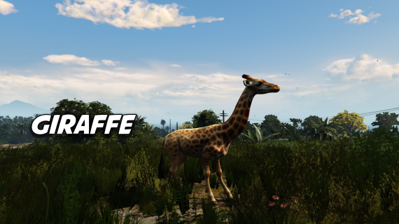 Popcorn Roleplay · Giraffe