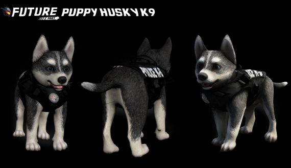 Future Store | Puppy Husky K9