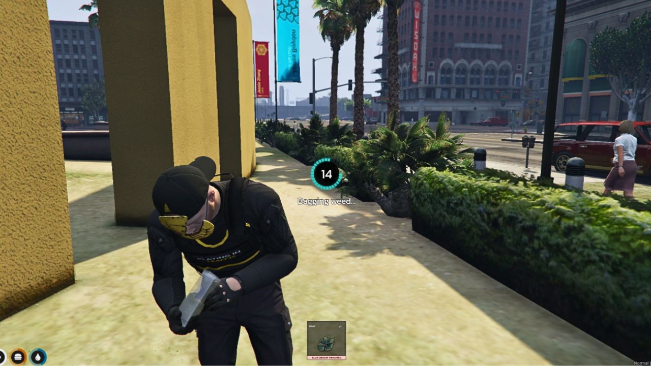 Playing In Traffic · Drug System (Source)