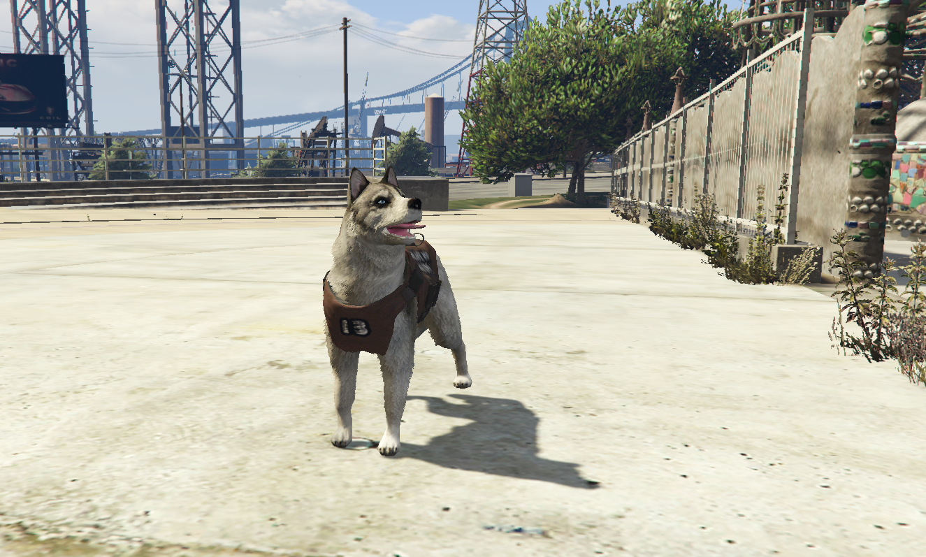 Amokzwiebel Studios · HUSKY Maya