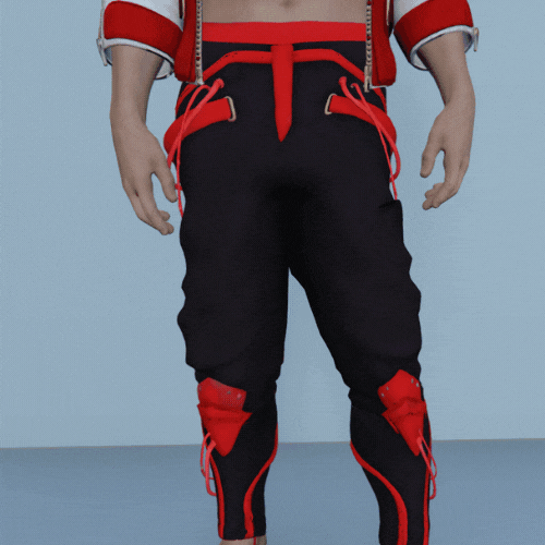 Santoro Store · SHINOBI PANTS