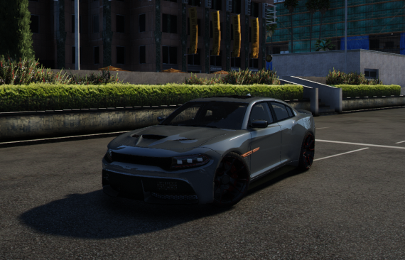 STRP EU | Limited Stock