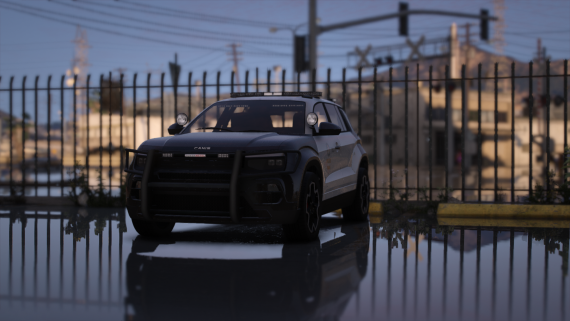 VD CUSTOMS