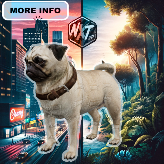 Next Level Gaming | NXT RP | 🐾 Pet Animals