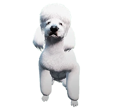 cDev | Standalone Animals