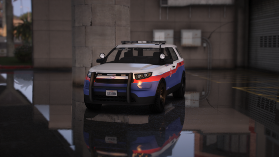 VD CUSTOMS | Vapid Scout