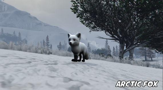 Popcorn Roleplay · Arctic Fox