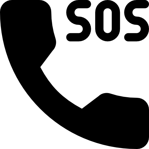 Love RP Scripts | ESX & QBcore