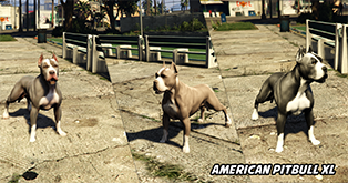 Popcorn Roleplay · American Pitbull XL