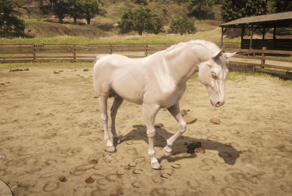 Red River Roleplay | Weisser Araber Spezial - Stufe 4 - Hufeisen beschlagen