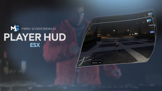 Meta Scripts · Player Hud