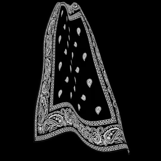 SW3RV DEPT · RIGHT POCKET BANDANA [MALE/FEMALE] [CLOTH PHYSICS]