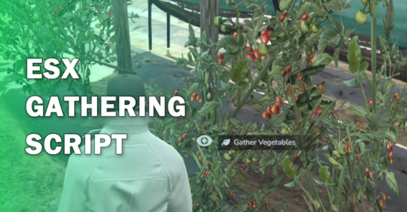 Messy Scripts | Gathering Script for ESX