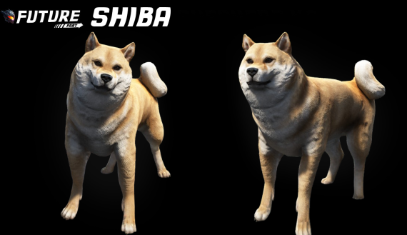 Future Store | Shiba