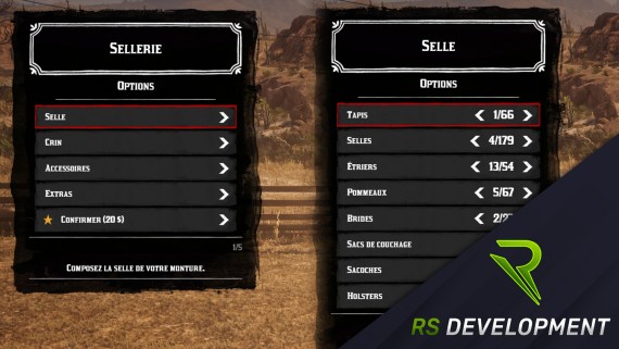 RS-Dev | Requirements