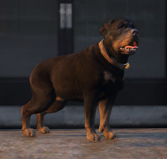 Storytime Roleplay | Rottweiler