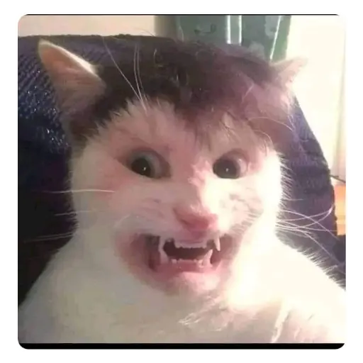 Roda Scripts · Roda Top Kill v2