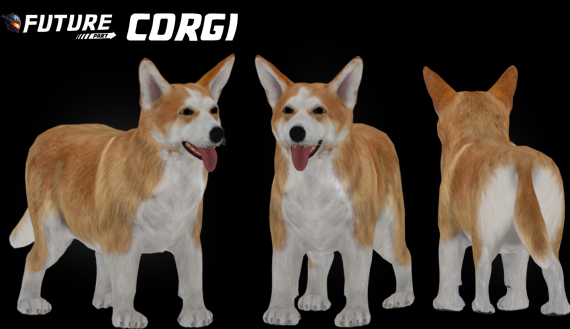 Future Store | Corgi