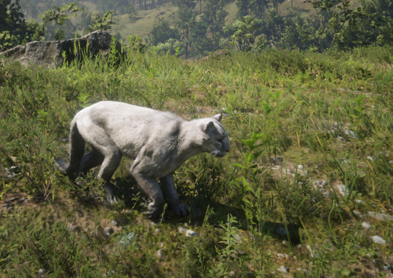 Red River Roleplay | White Wildkatze Cougar