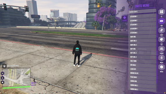 SkeletonNetworks · Emote menu