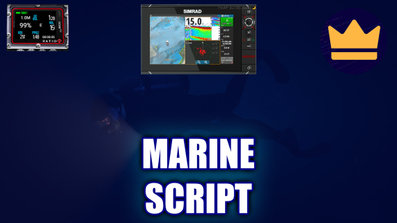 BKing Development | Scripts