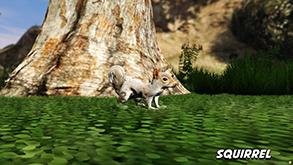 Popcorn Roleplay · Squirrel