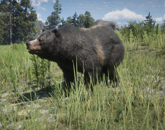 Red River Roleplay | Grizzly