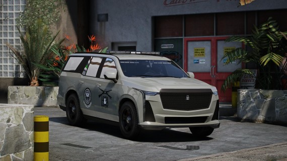 VD CUSTOMS | Albany Cavalcade XL