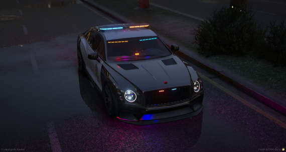 VD CUSTOMS | Enus Deity