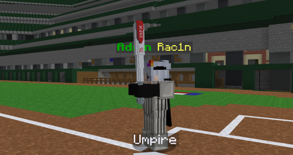 Minecraft Baseball League | Catx Bat