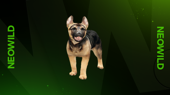 Neo Wild | German Shepherd Puppy