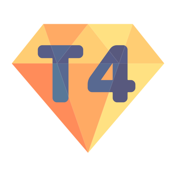 Zenith Project | Tier 4