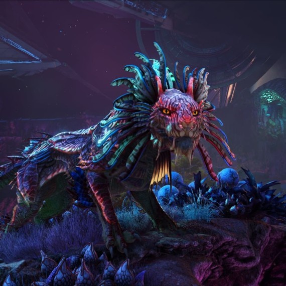 New Era · ShadowMane Lvl 250
