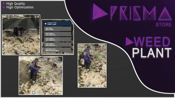 PRISMA · Prisma Weed Plants