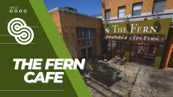 Galaxis Studios · The Fern Cafe