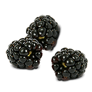 Rusty Raiders · Black Raspberries