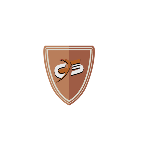 Golden State RP · VIP Bronze