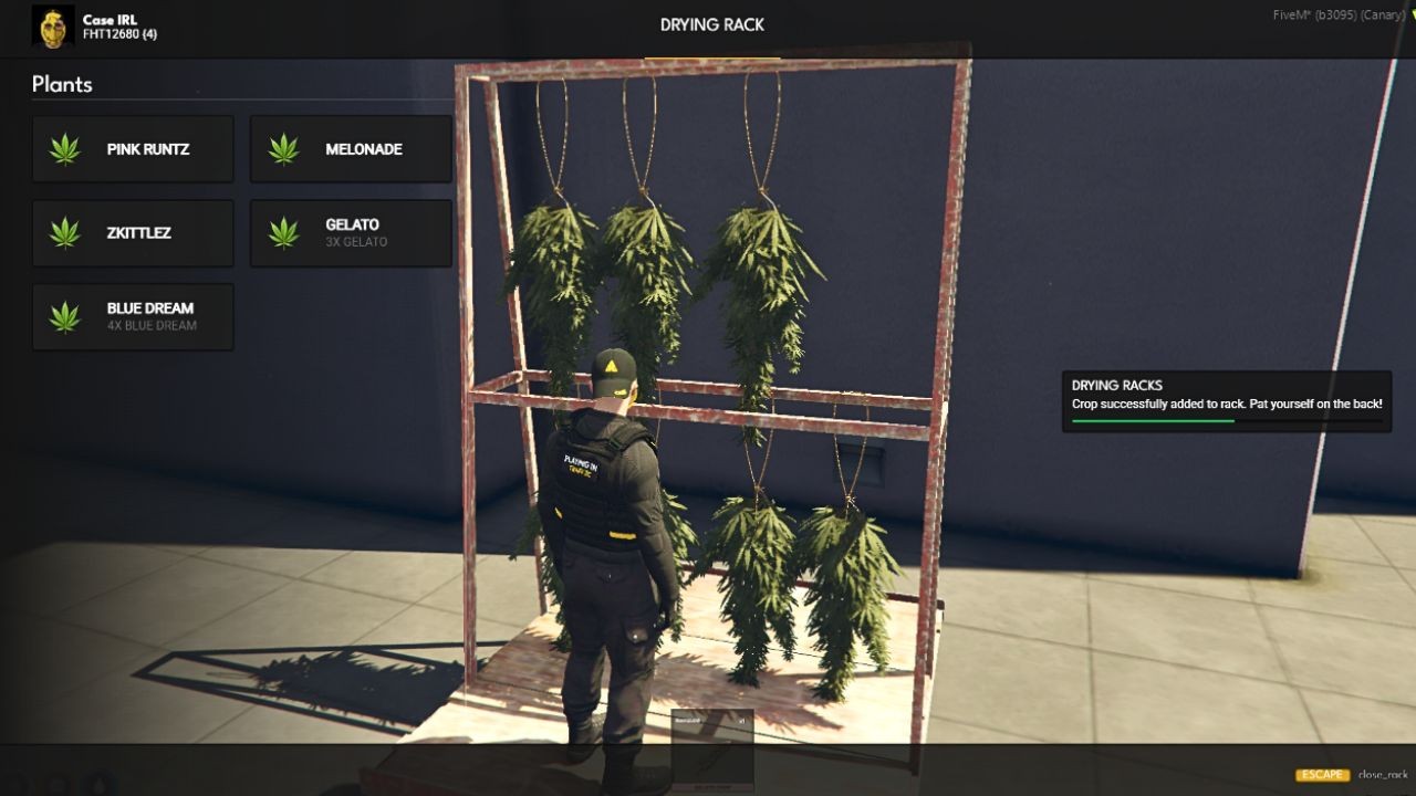 Playing In Traffic · Drug System (Source)